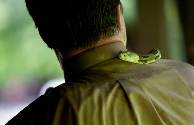 "The photographer and the serpent handlers"--Story featuring Lauren ...